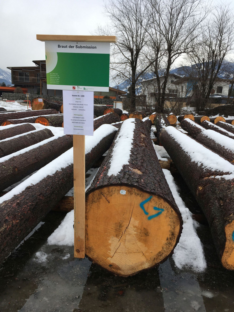 Haselfichte erzielte den Höchstpreis in Lechaschau - bauernnetzwerk