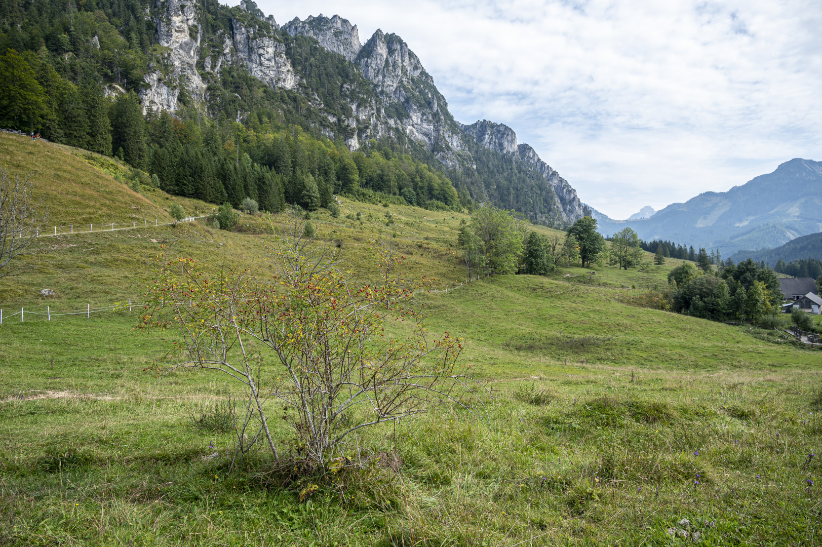 LK-Tirol 2023 mit Klima als Schwerpunkt - bauernnetzwerk