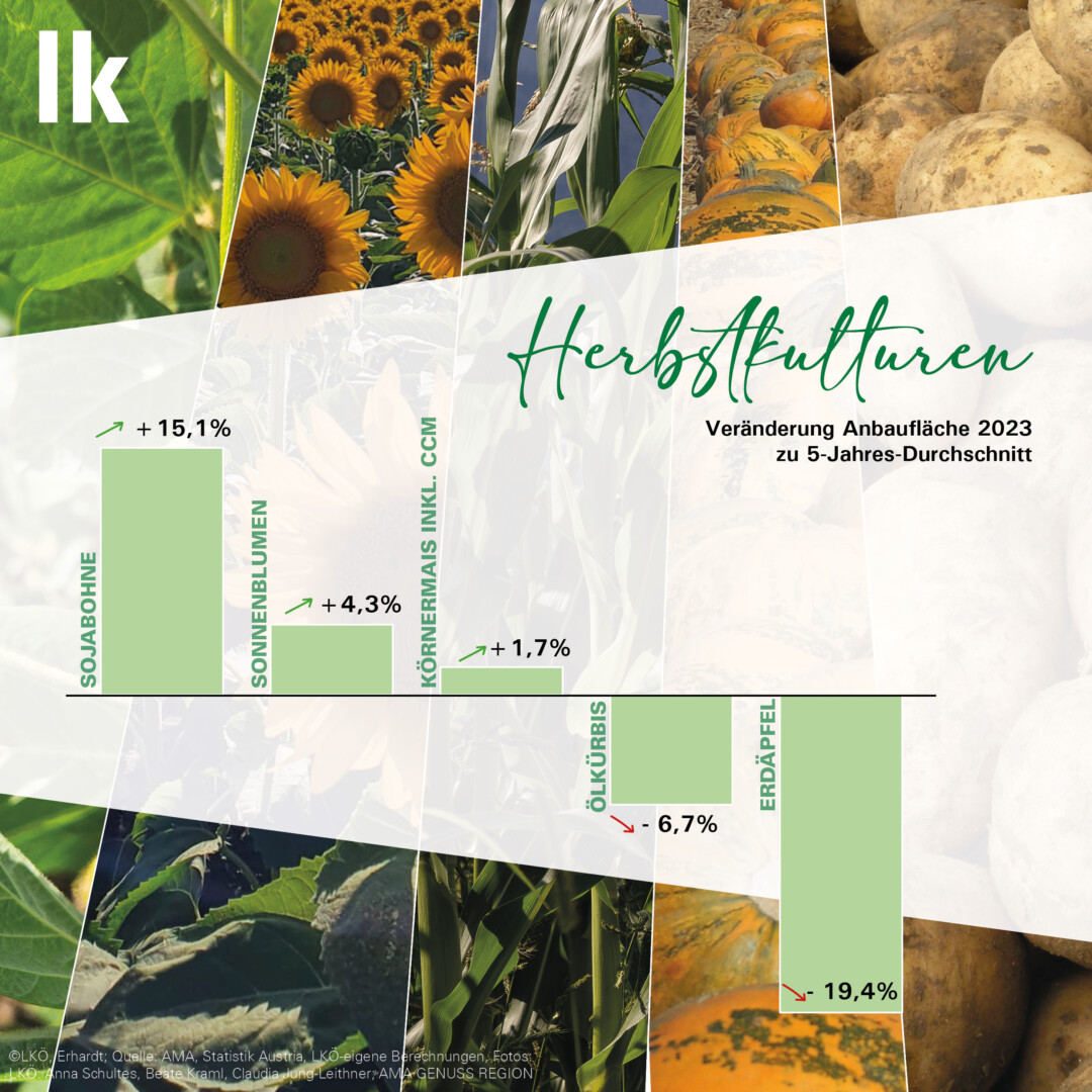 Ackerbaujahr 2023 im Rückblick - bauernnetzwerk